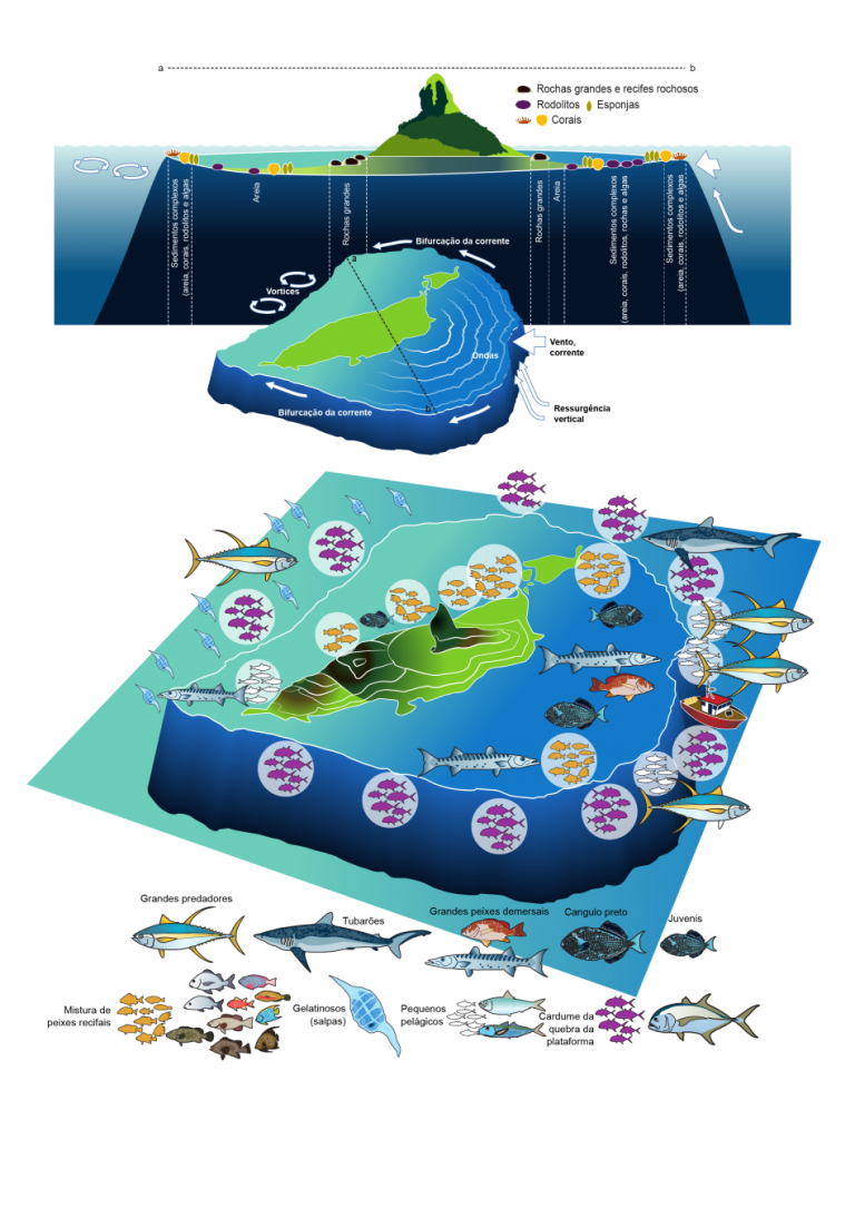 Comprehensive spatial distribution of tropical fish assemblages from ...