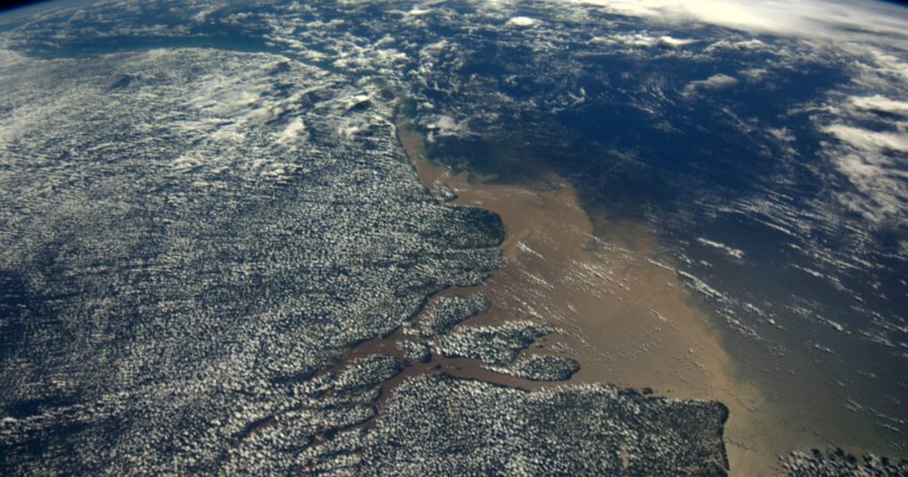 Confira o relatório que publicamos sobre a pesquisa Amazomix | TAPIOCA