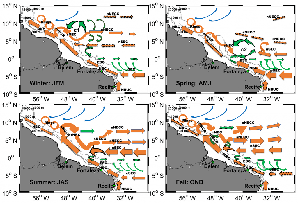 Revisiting the tropical Atlantic western boundary circulation from a 25 ...