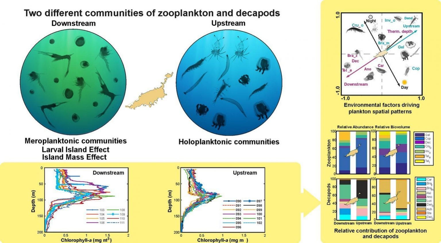 Multiple island effects shape oceanographic processes and zooplankton ...